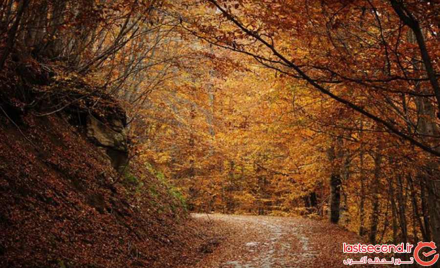 مازیچال، روستایی رویایی و مسحور کننده در مازندران + تصاویر | لست‌سکند